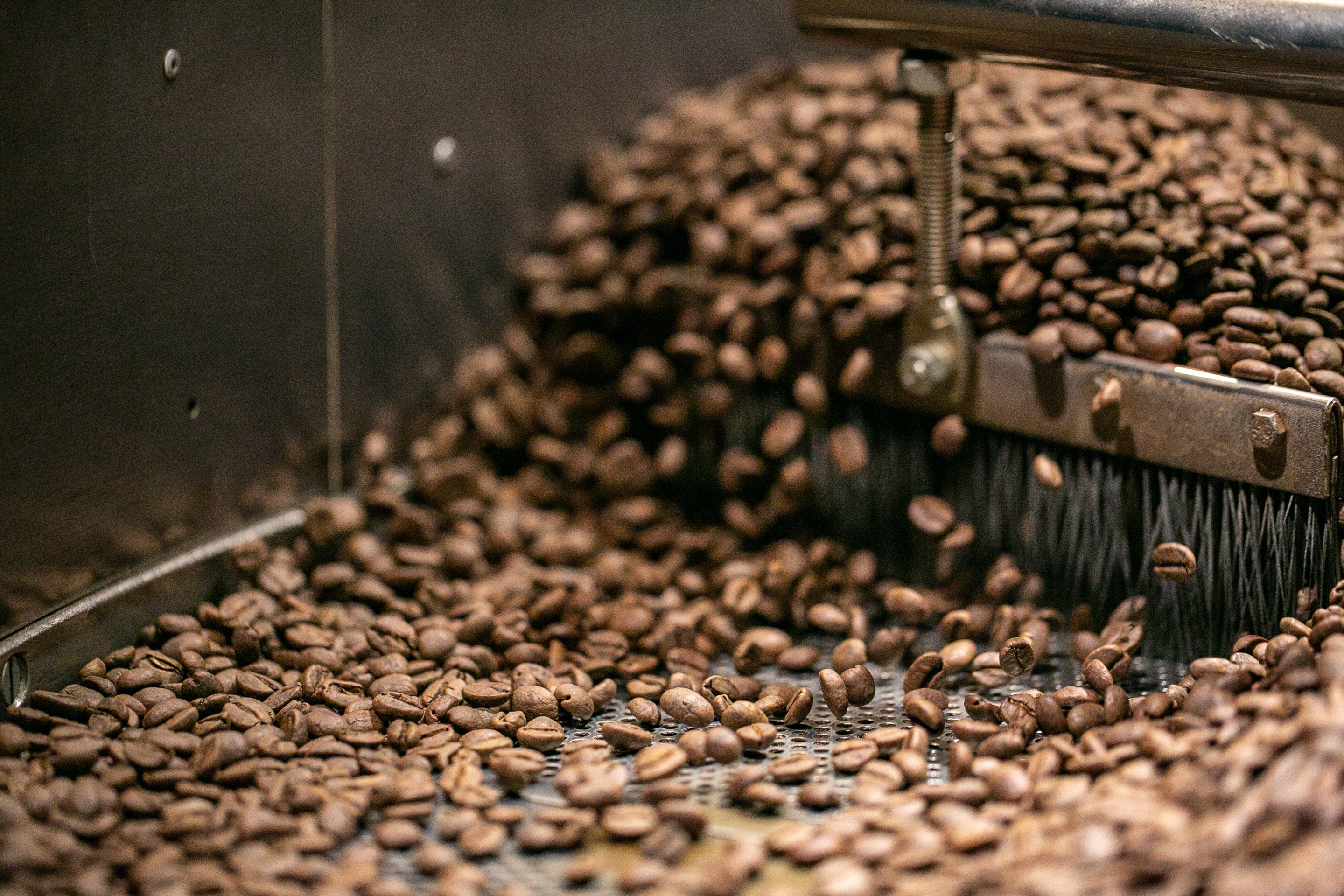 Espresso Specialist – KOKO COFFEE ROASTERS