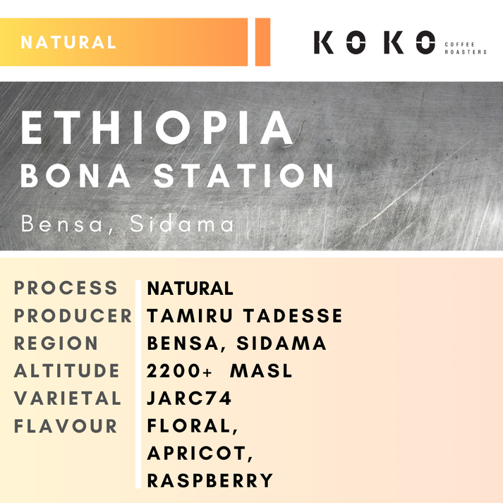 Ethiopia Bona Station (Natural) 150g – KOKO COFFEE ROASTERS
