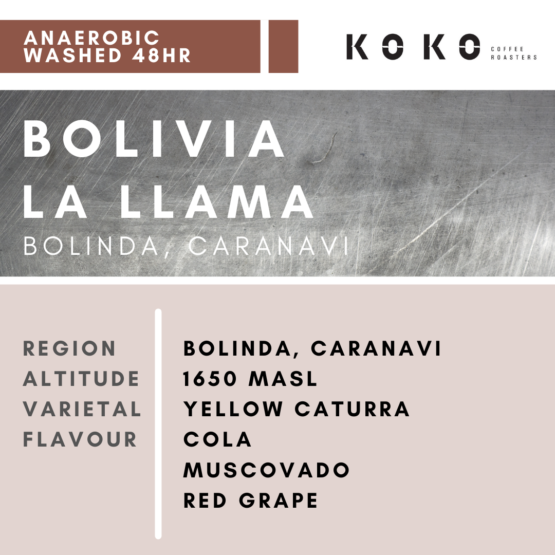 Blog Bolivia – KOKO COFFEE ROASTERS
