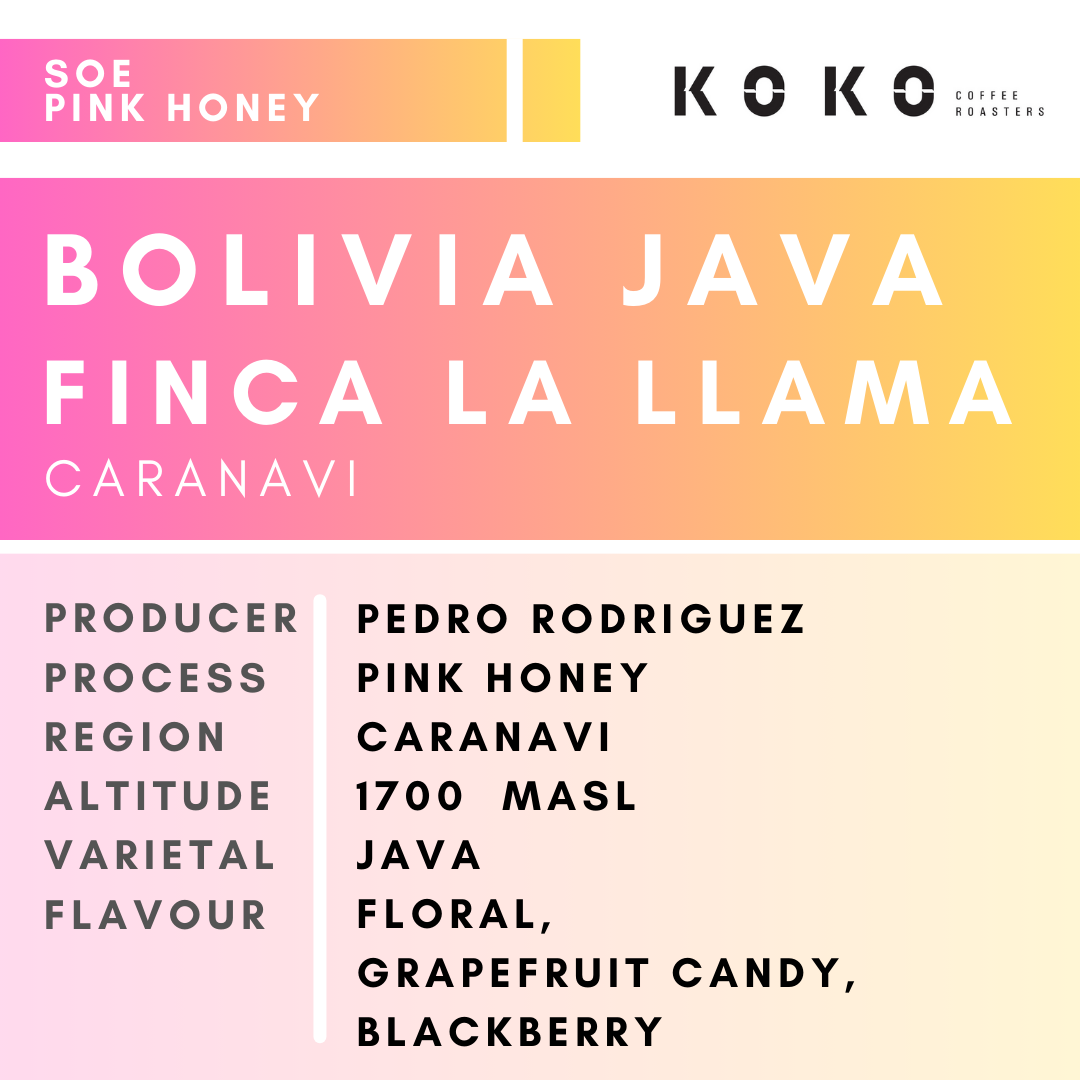 Special Process – KOKO COFFEE ROASTERS